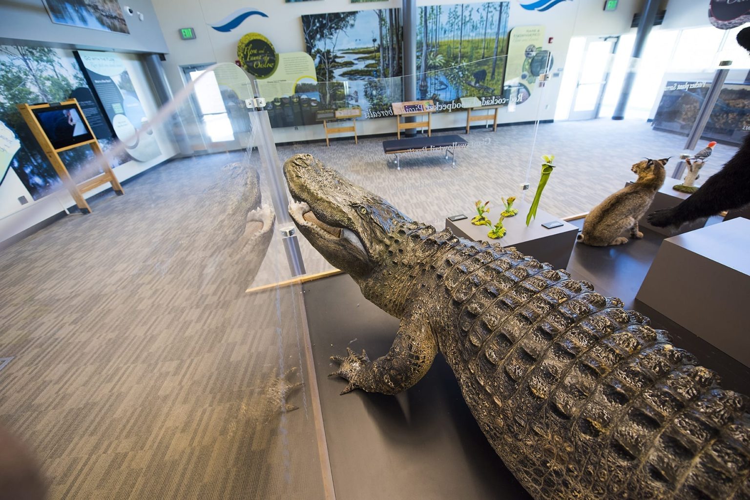 Beach Days In Onslow | Onslow County Tourism | North Carolina