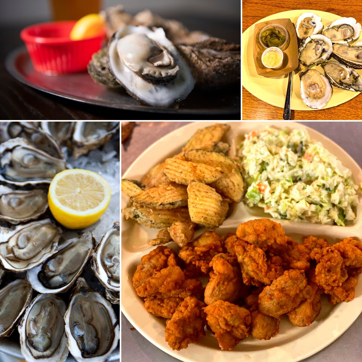 Let's Shellebrate NC Oyster Month | Only In Onslow