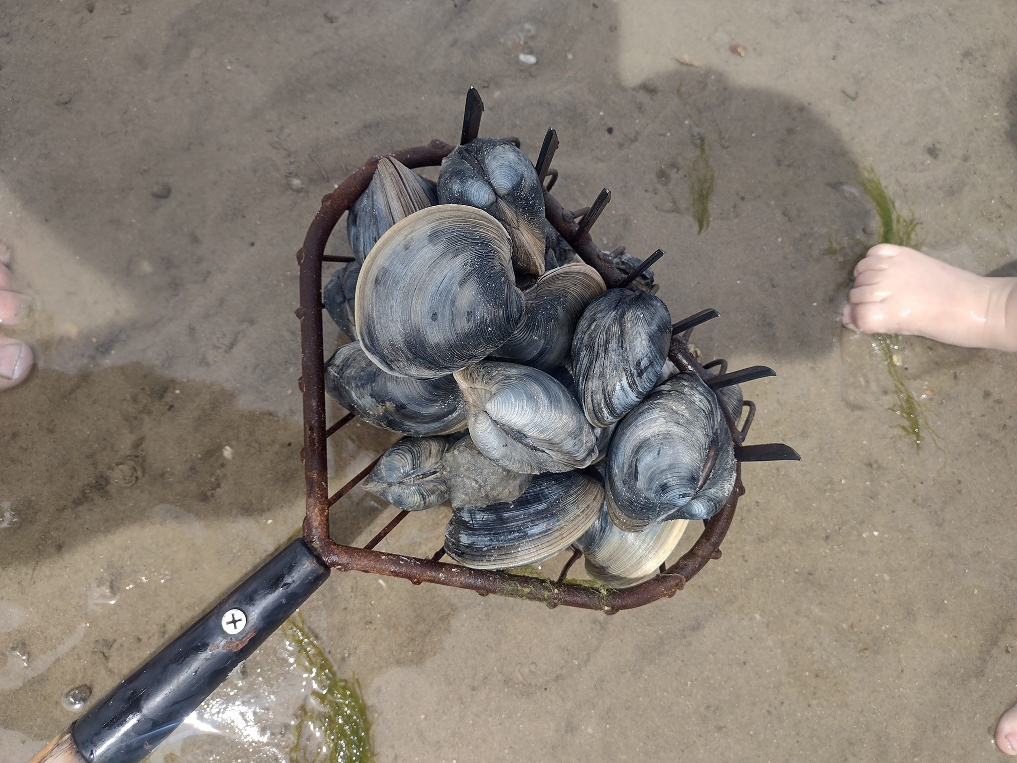 Seafood Trail | Only In Onslow