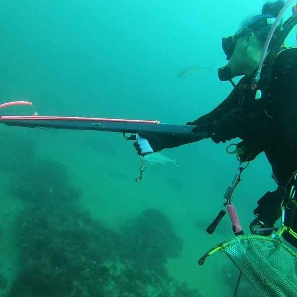 Instigator Fishing & Diving Charters | Only In Onslow