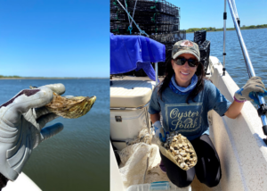 Let's Shellebrate NC Oyster Month | Only In Onslow
